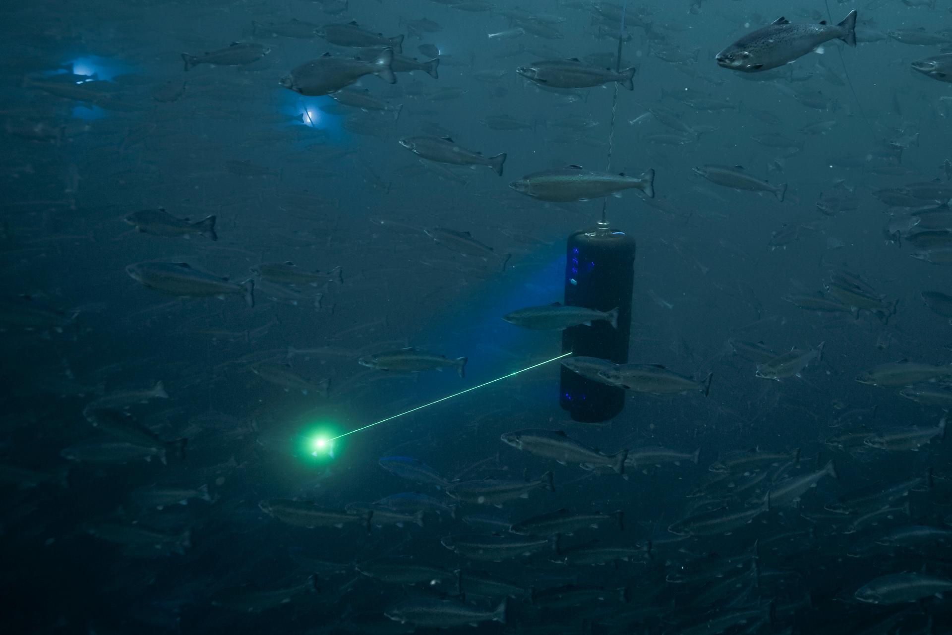 Novo Holdings to acquire majority stake in Stingray Marine Solutions, a leading provider of ...