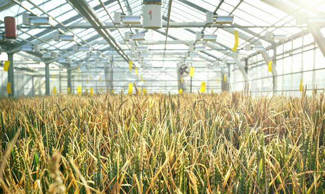 Novo Holdings and DLG Group join forces to advance sustainable crop ...